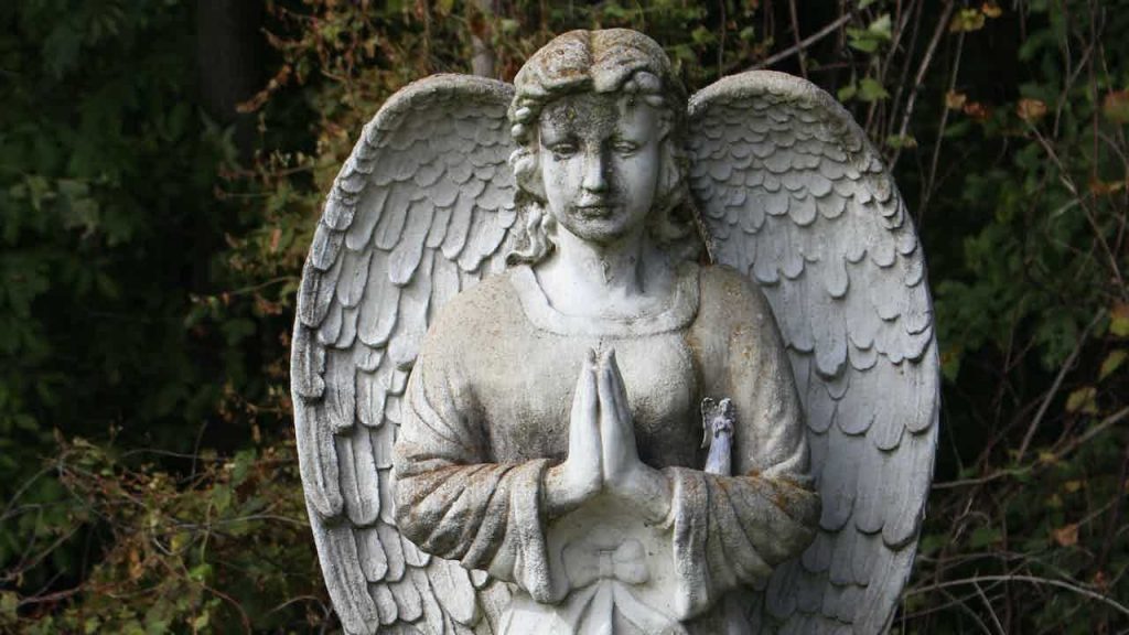 Scam Round Up: Funeral scammers and more - Greg's Corner